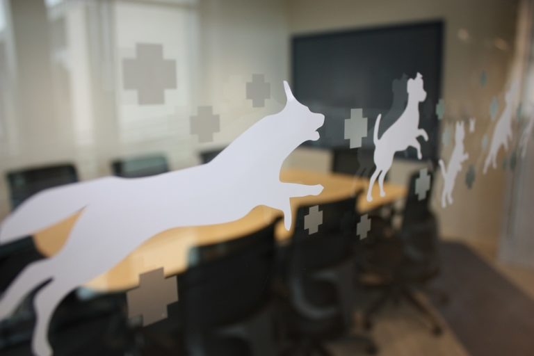 New Spaces: Inside Banfield Pet Hospital’s new headquarters - Vancouver ...